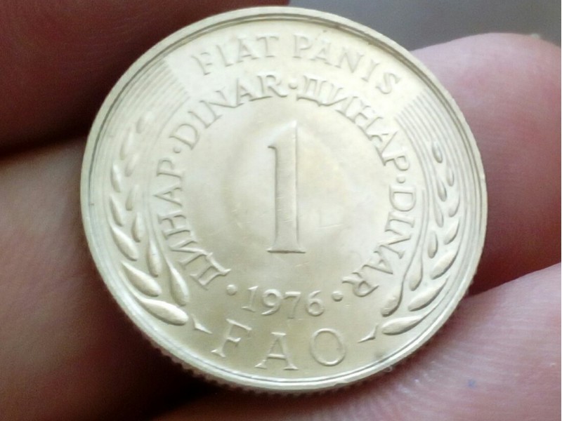 SFRJ, 1 dinar 1976 FAO, Jubilarac