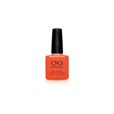 SHELLAC Lak Shellac Ig-Night-Ed 7,3ml