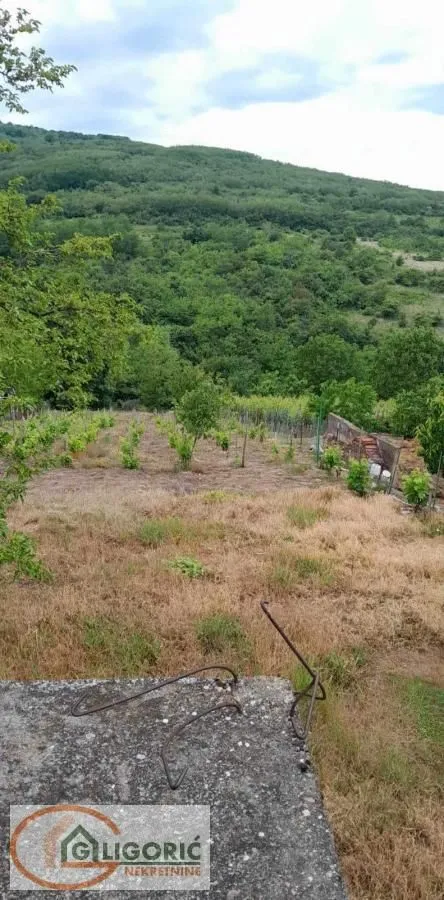 Prodaja, kuća, 290m2, Malo Središte, Vršac