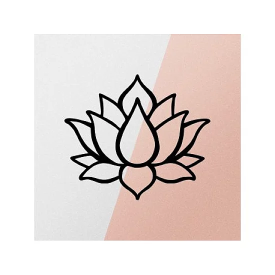 WALLXPERT ZIDNA DEKORACIJA LOTUS FLOWER 1 METAL DECOR CENA