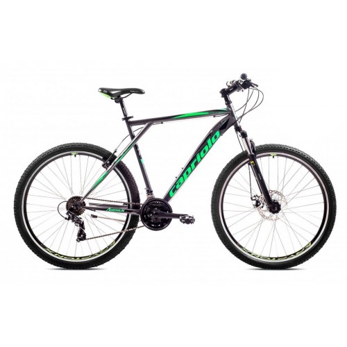 Bickl Capriolo MTB adrenalin 26''/21HT sivo-zelena 20