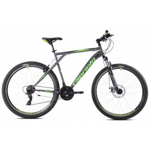 Bicikl Capriolo MTB adrenalin 29''/21HT sivo-zelena 21