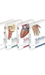 SOBOTTA – Atlas Anatomije Čoveka Od Grupa Autora