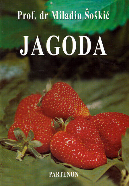 Jagoda