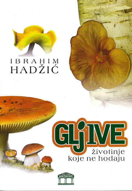 Gljive – životinje koje ne hodaju