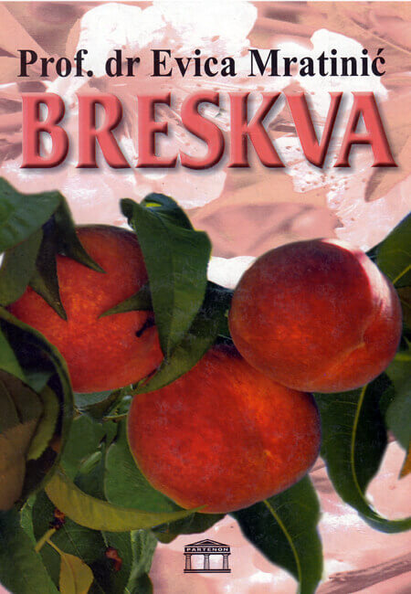 Breskva