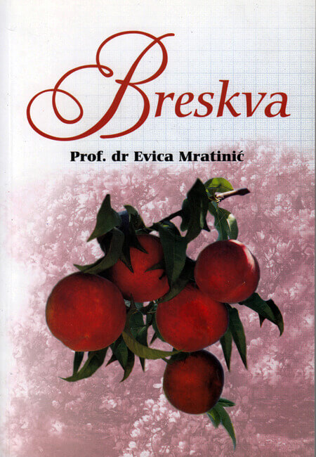 Breskva