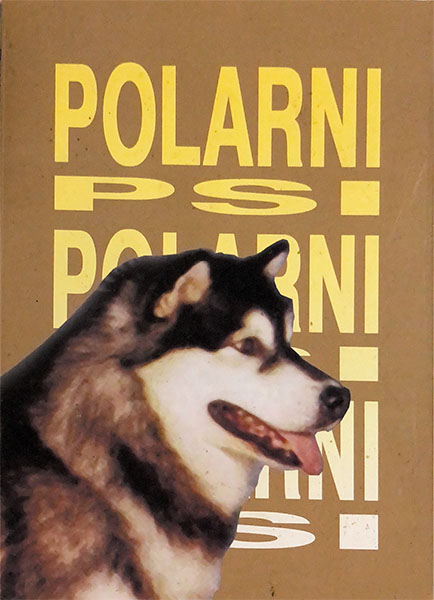 Polarni psi