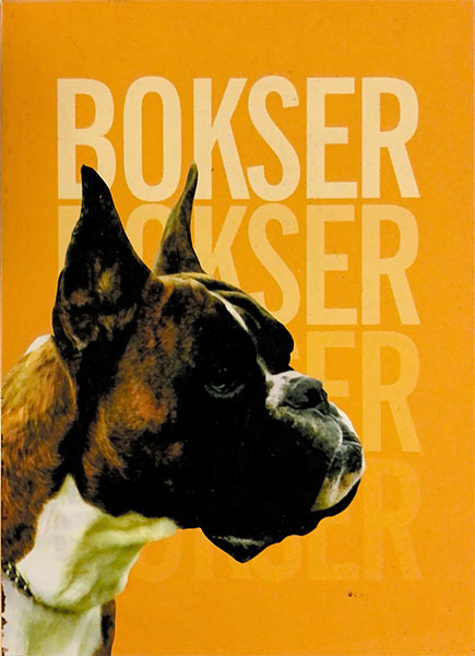 Bokser