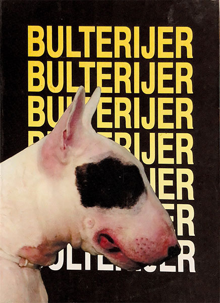 Bulterijer