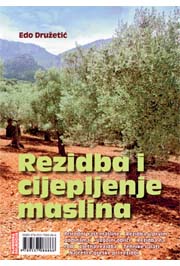 REZIDBA I CEPLJENJE MASLINA