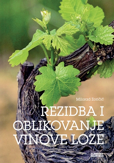 REZIDBA I OBLIKOVANJE VINOVE LOZE