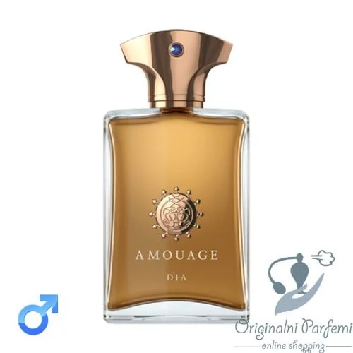 Amouage Dia Man 100ml EDP