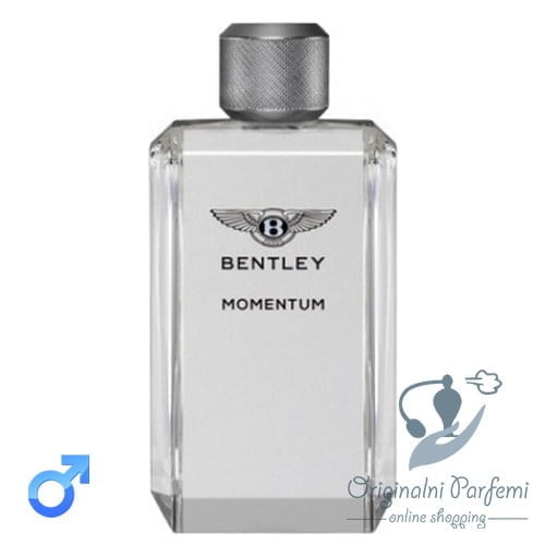 Bentley Momentum 100ml EDT