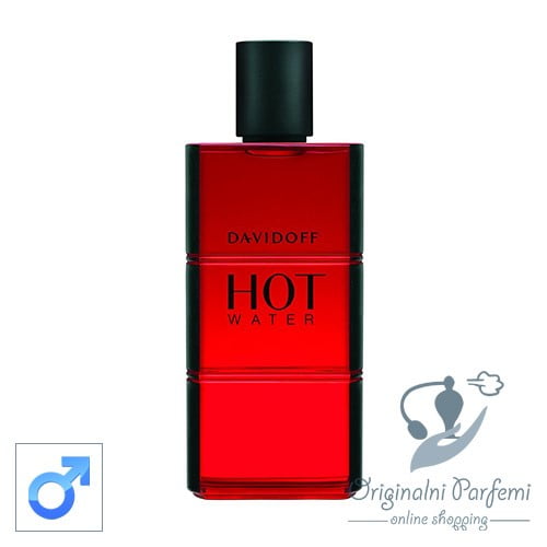 Davidoff Hot Water 100ml EDT