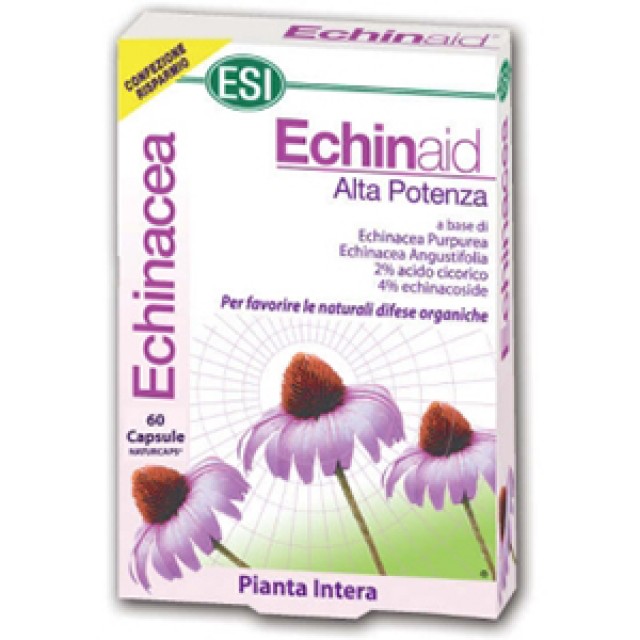 ECHINAID CPS A 60