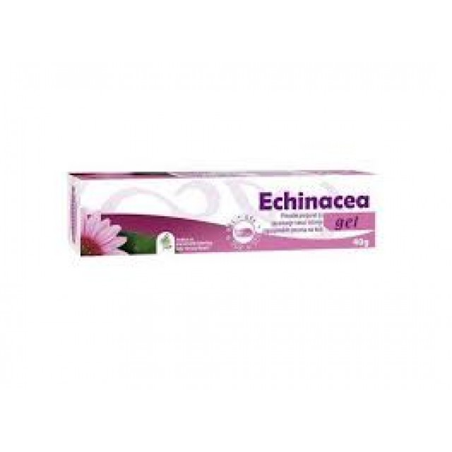 ECHINACEA GEL 40ML