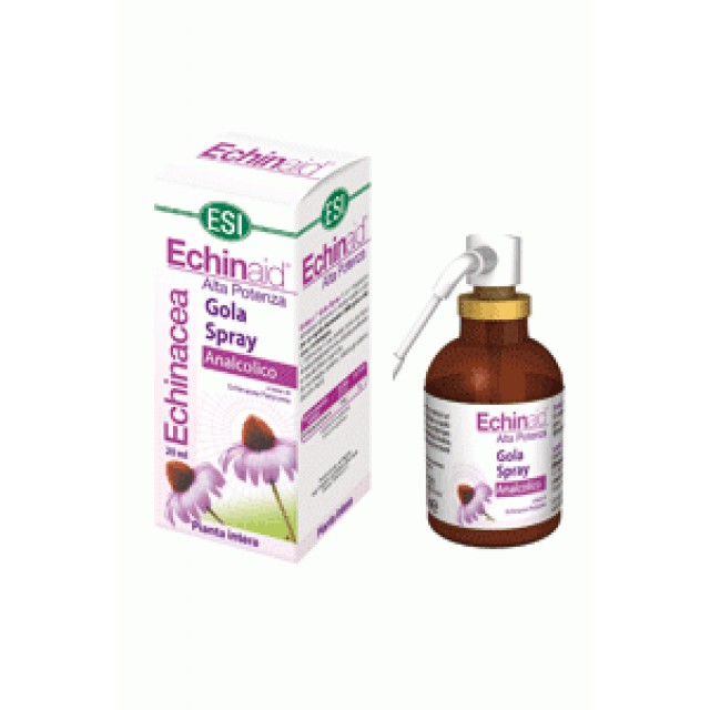 ECHINAID SPREJ ZA GRLO 20ML