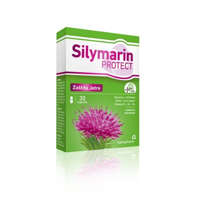 SILYMARIN PROTECT KAPSULE A30