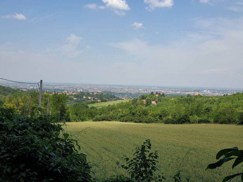 Stari Ledinci, Ledinci