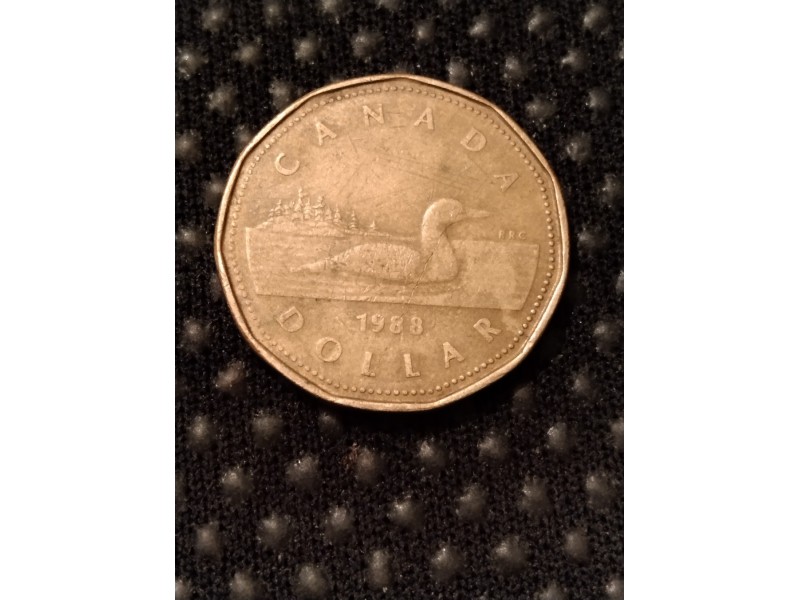 1 dolar 1988 kanada