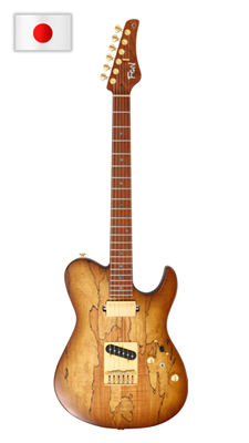 FGN EIL-EW1-HS-RM/HCB