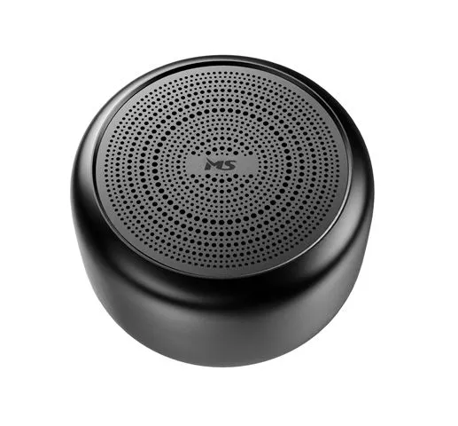 BLUETOOTH ZVUČNIK MS ECHO S300