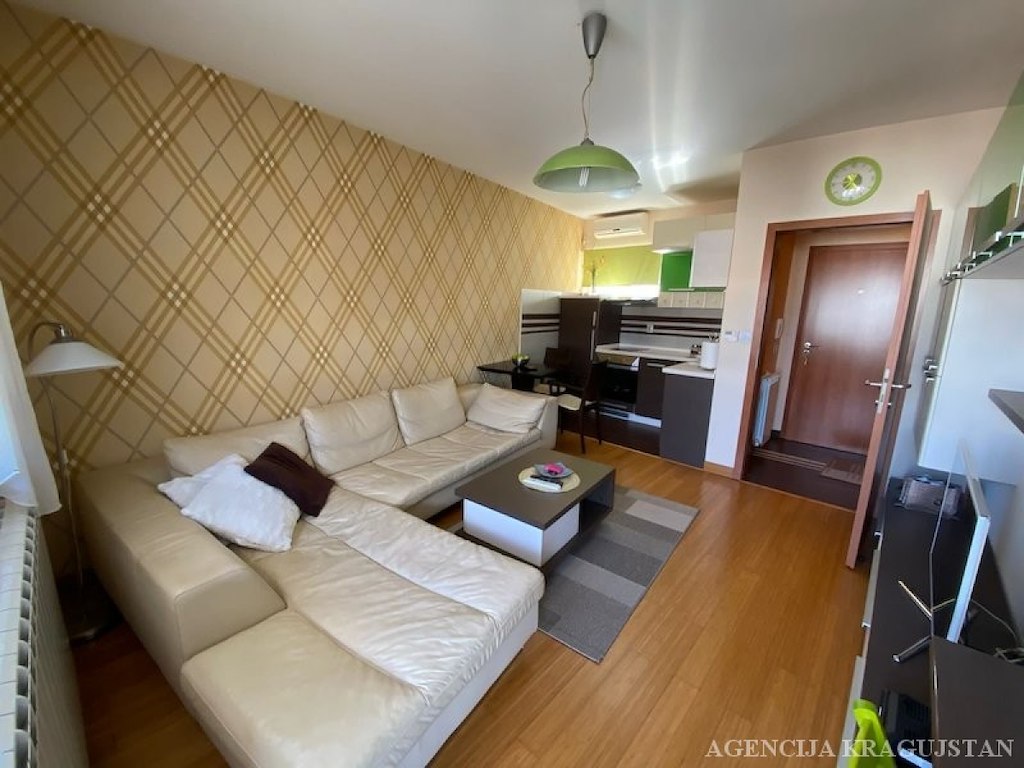 Izdavanje, Stan, 42. 00m2 , Centar