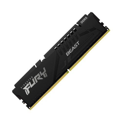 Kingston 16GB (1x16GB) DDR5 6400MT/s CL32 FURY Beast Black XMP DIMM memorija | KF564C32BB-16