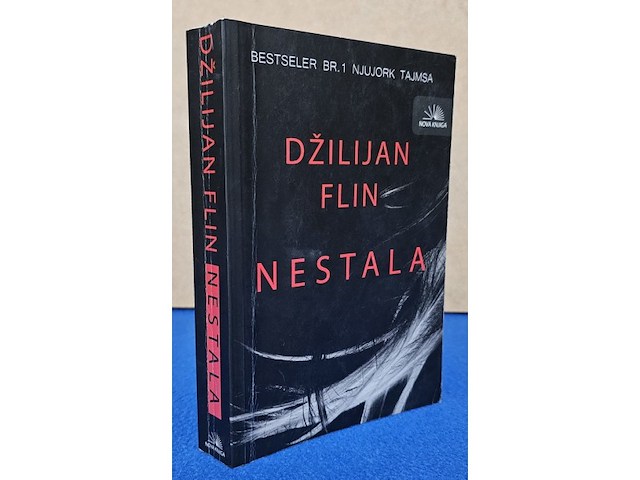 Nestala - Džilijan Flin