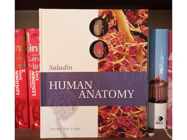 HUMAN ANATOMY Saladin