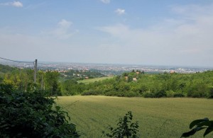 Prodajem Građevinsko Zemljište, Stari Ledinci, Novi Sad Okolica