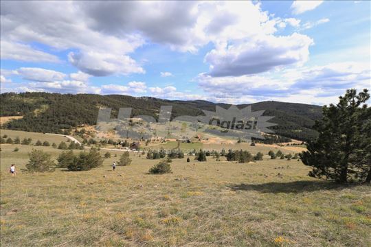 HITNO! Plac Zlatibor/Cigota/Ljubis