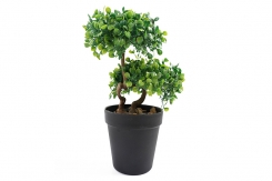 123 veštački bonsai