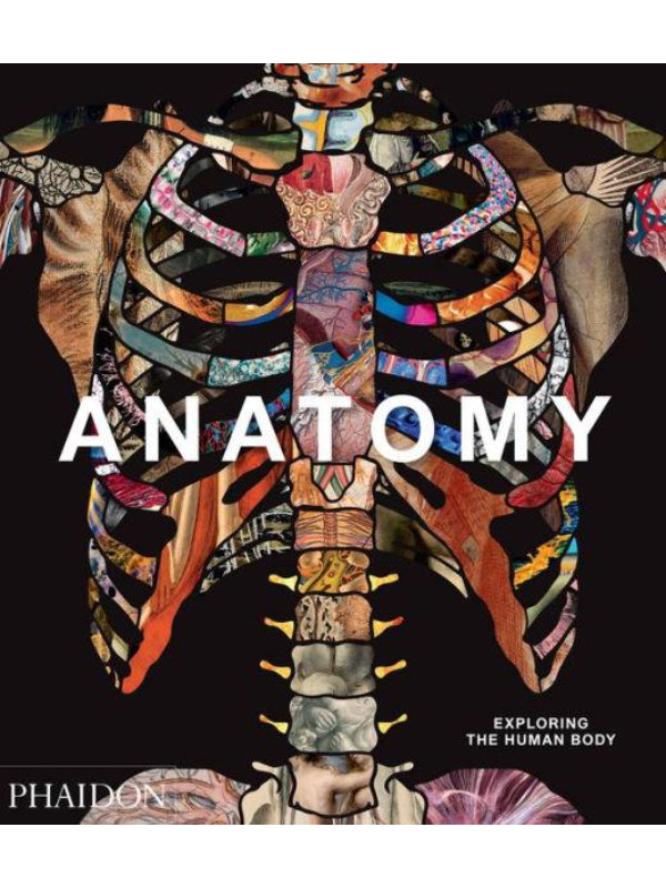 Anatomy Exploring the Human Body