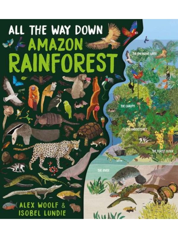 All the Way Down: Amazon Rainforest