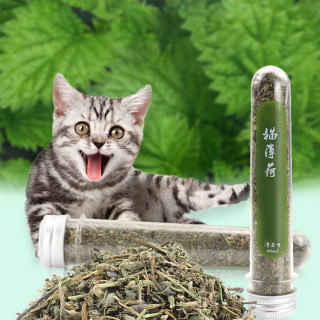 Prirodna mačija trava
