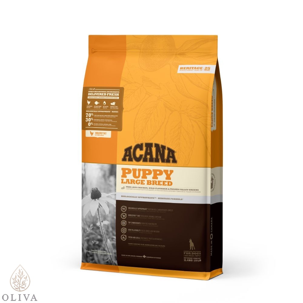 ACANA H25 PUPPY LARGE BREED 11,4KG