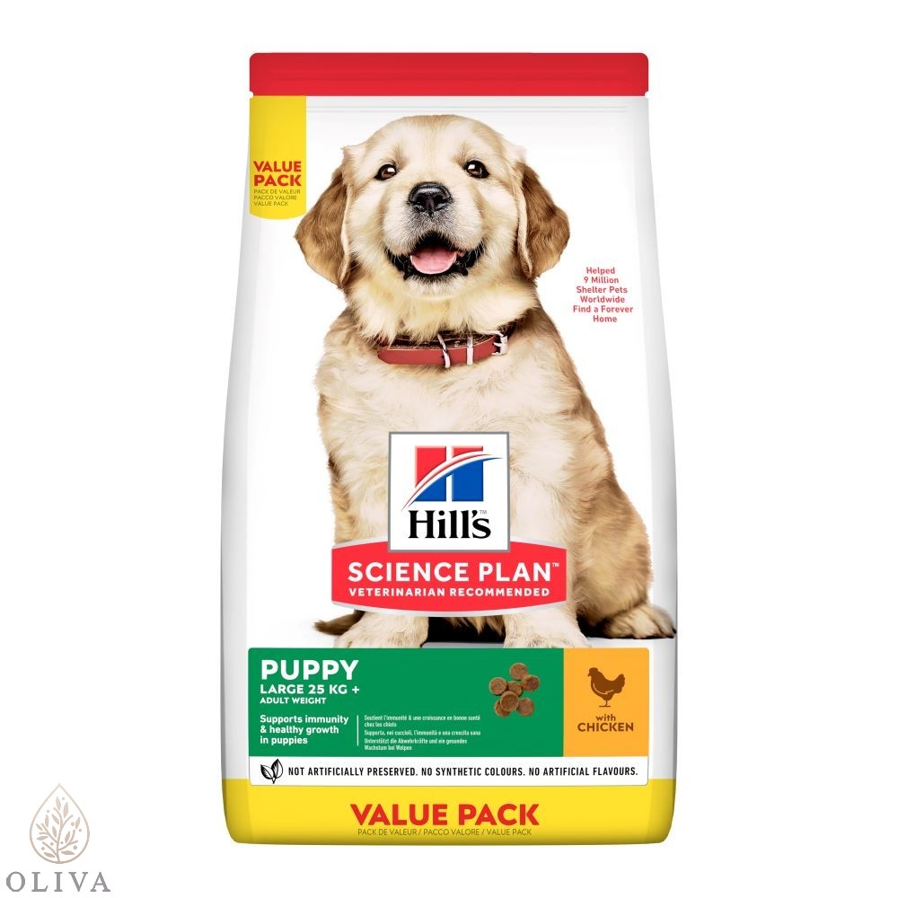 HILL’S PUPPY LARGE BREED PILETINA 14,5KG