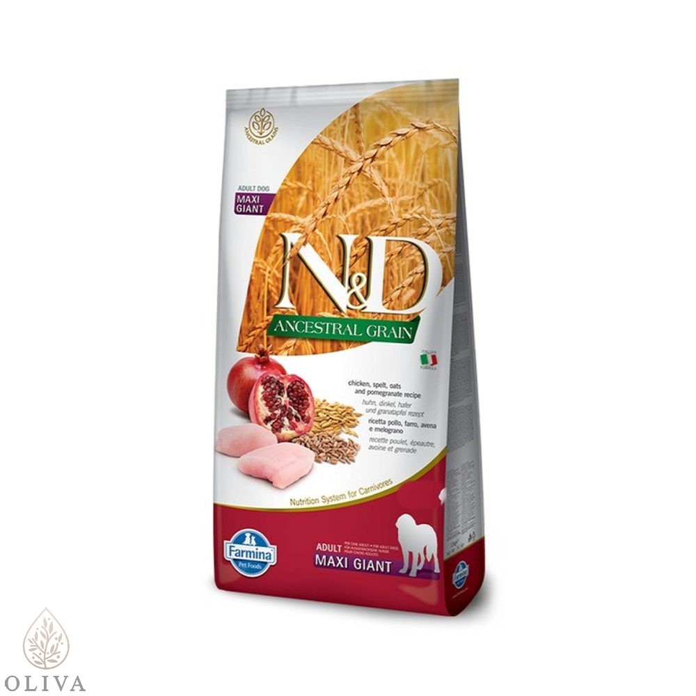 N&D AG CHICKEN&POMEGRANATE GIANT MAXI 12KG