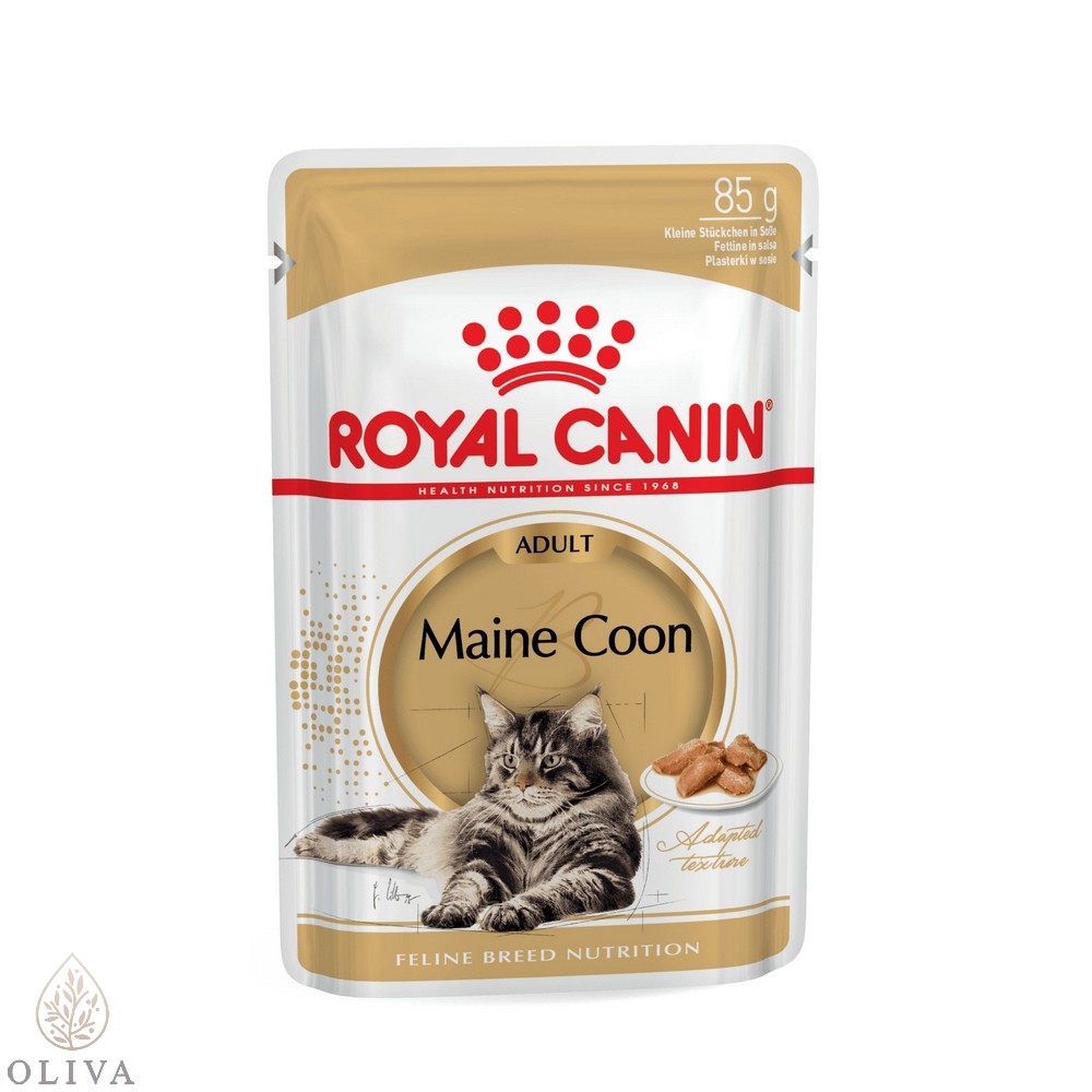 ROYAL CANIN MAINE COON 15M+ 12X85GR