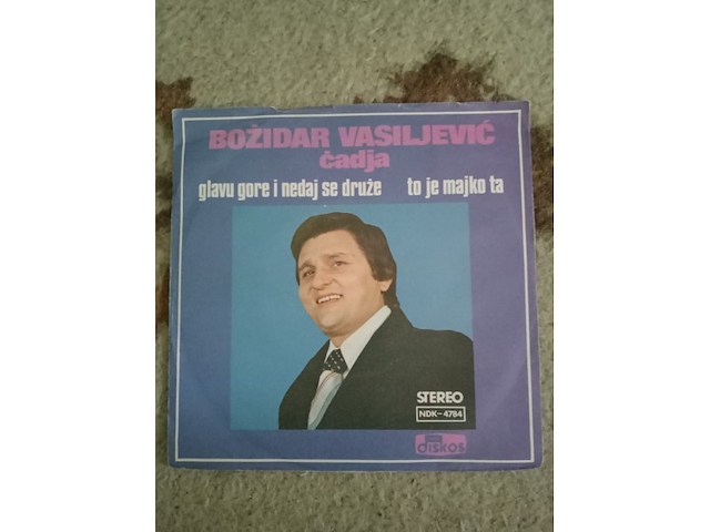 Božidar Vasiljević Ćađa - Glavu gore i ne daj se druže