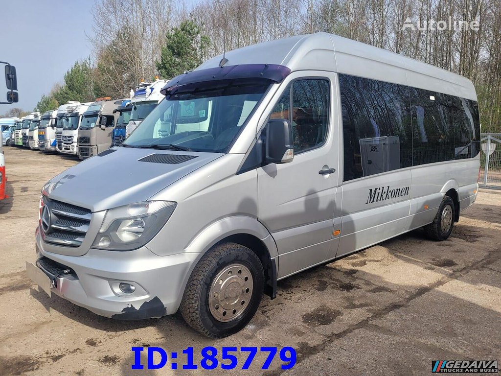 Mercedes-Benz Sprinter 316 - VIP - Avestark turistički autobus