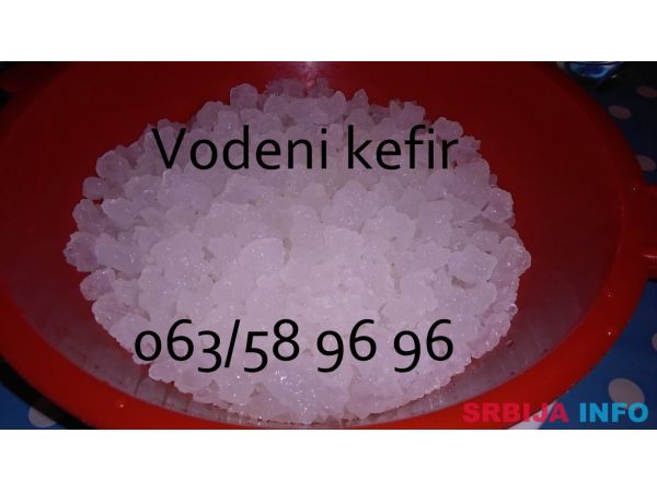 Vodeni kefir, japanski kristali, Tibicos