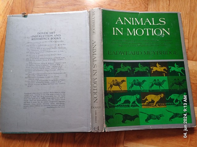 EADWEARD MUYBRIDGE, ANIMALS IN MOTION