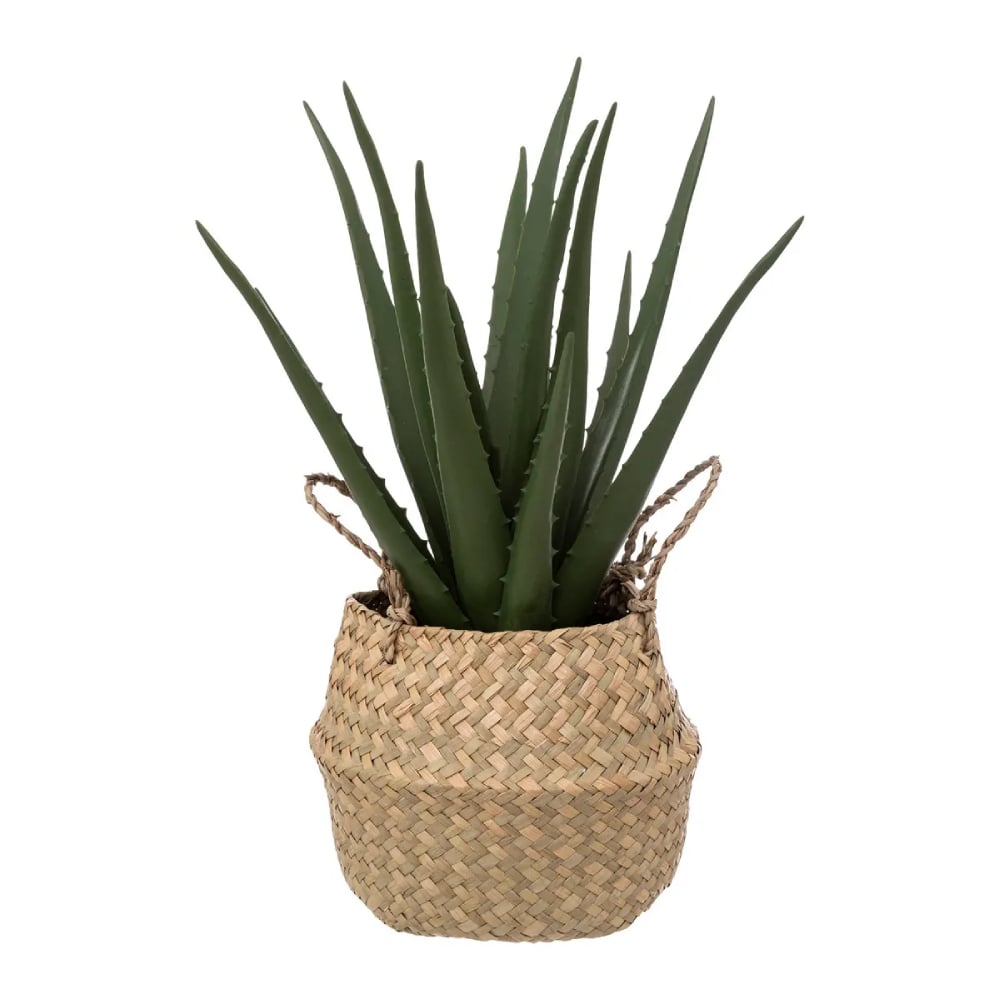 ATMOSPHERA Aloe Natural Dekorativna biljka H37 cm