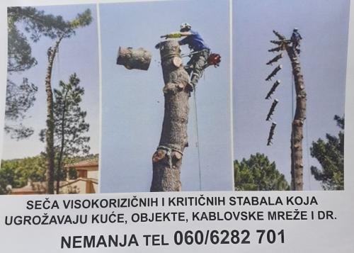 Seča Visokorizičnih stabala