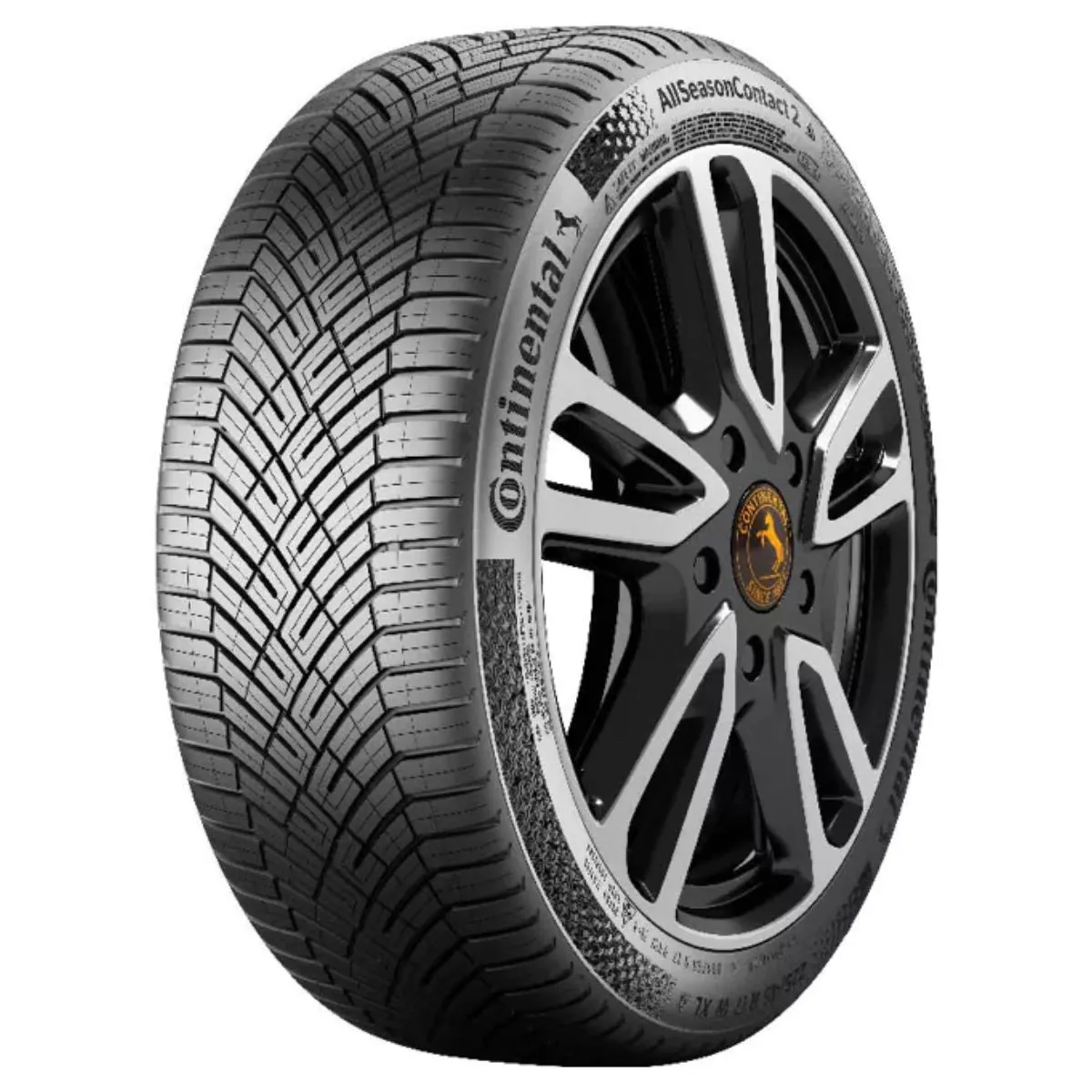 CONTI 205/55X16 94V XL ALLSEASON CONTACT 2