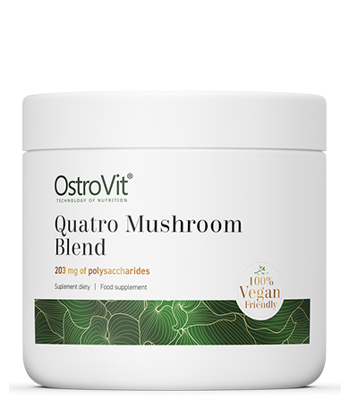 Quadro Mushroom Blend 100gr