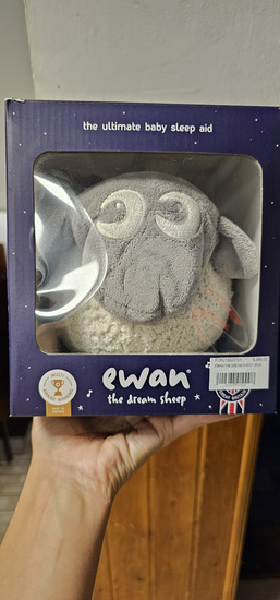 Ewan dream sheep